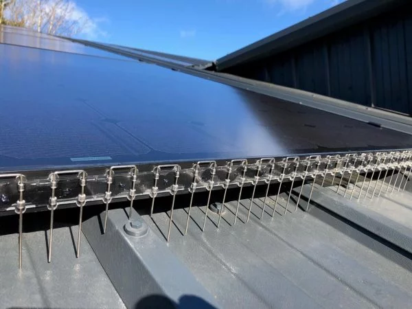 Solar Panel Exclusion - EnviroGuard