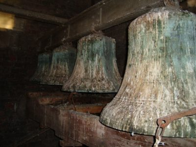 Bird Netting - EnviroGuard