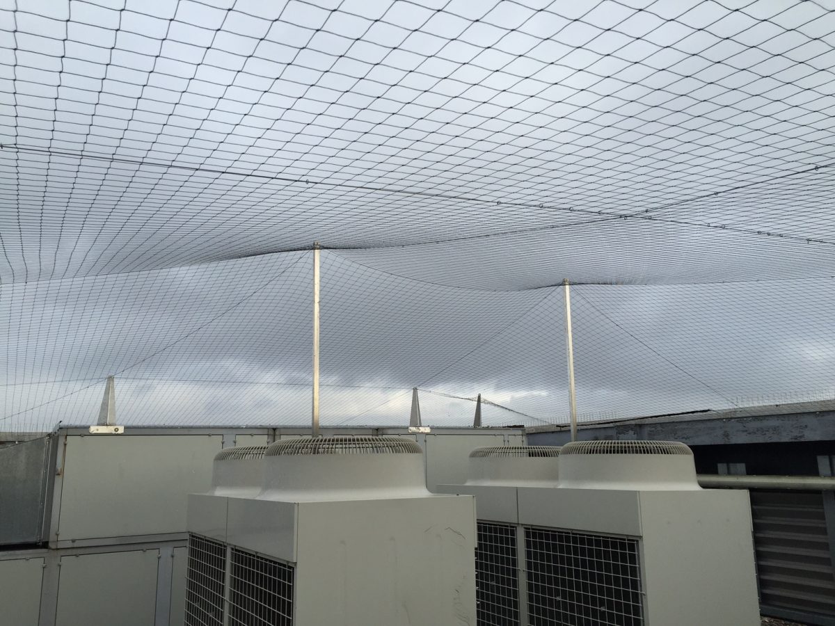 Anti-Bird Netting Installation Services | Professional Technicians
