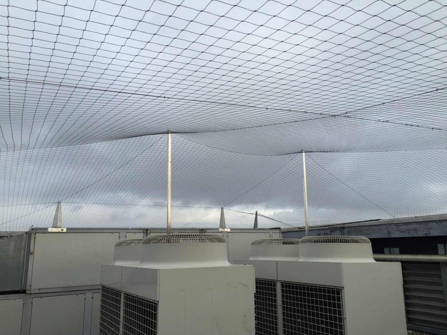 Anti-Bird Netting Installation Services | Professional Technicians