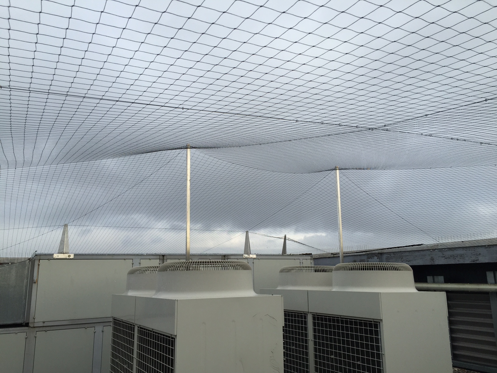 Anti-Bird Netting Installation Services | Professional Technicians