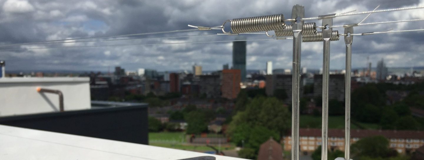 Anti-Bird Wire Installation | Ideal for Glass-Fronted Buildings