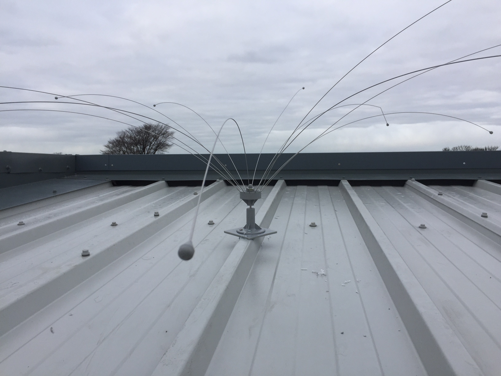 Daddi Long Legs Bird Deterrent - Rotating Bird Spider 1.8m