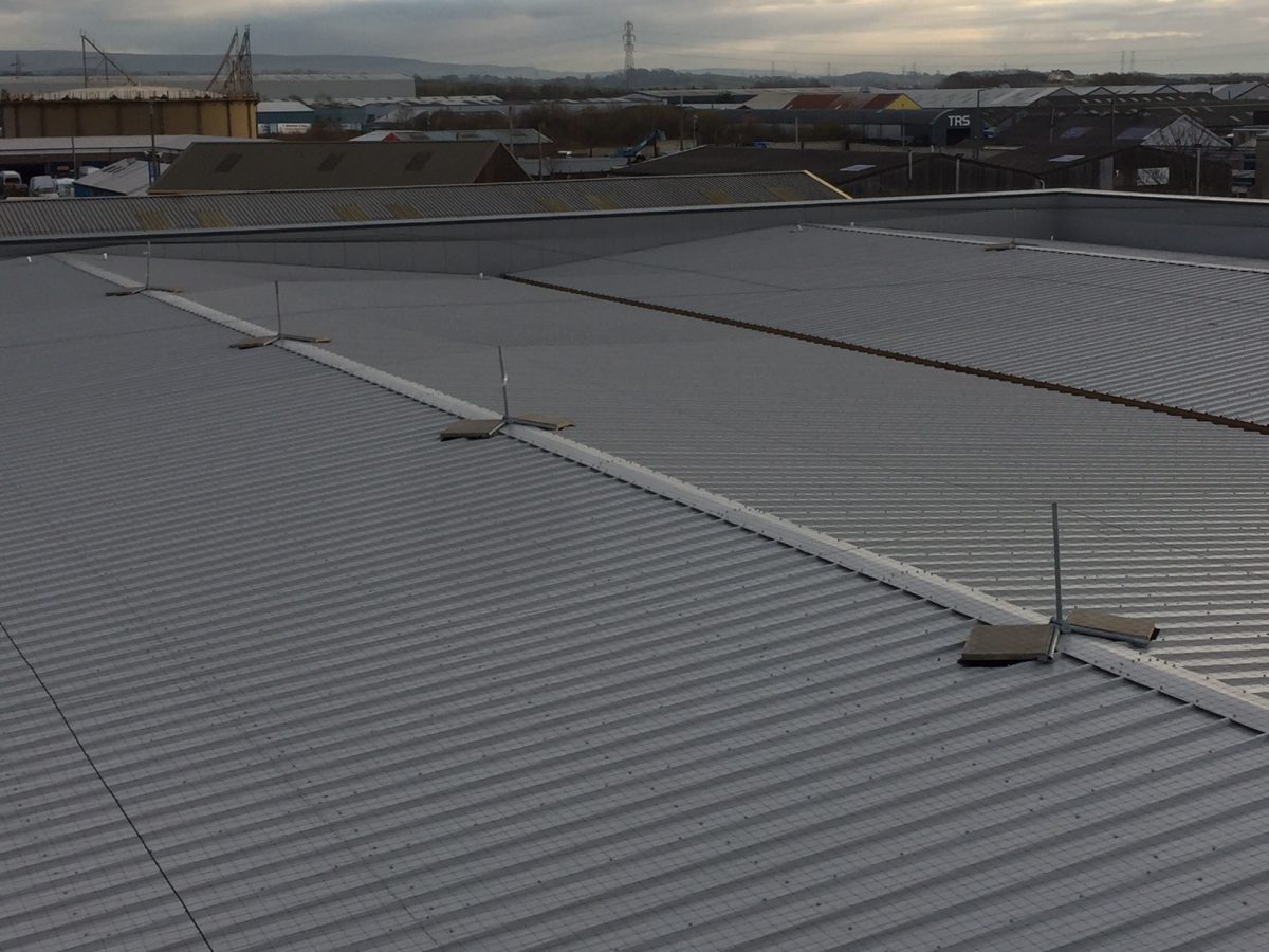 Anti-Bird Netting Installation Services | Professional Technicians