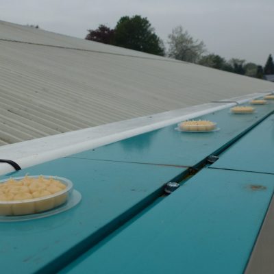 Bird Free Fire Gel – Stop Bird Infestations with Proven Protection