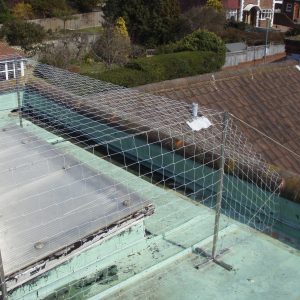 Seagull Netting 75mm Pre Cut Sizes - EnviroGuard