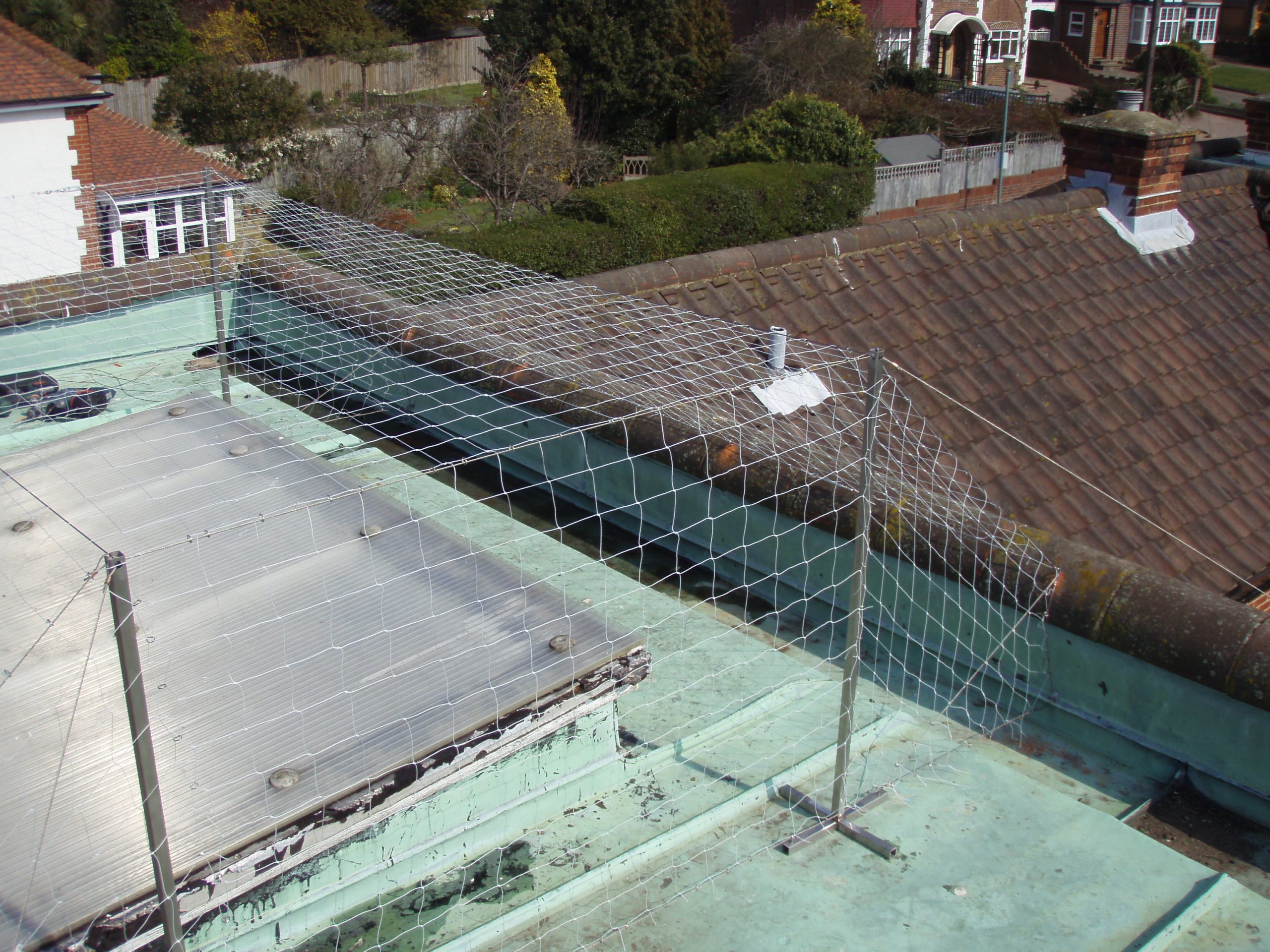 Seagull Netting 75mm Pre Cut Sizes - EnviroGuard
