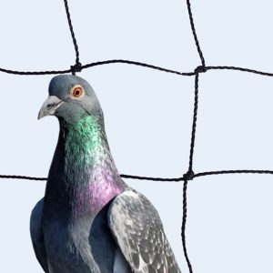 Bird Netting - EnviroGuard