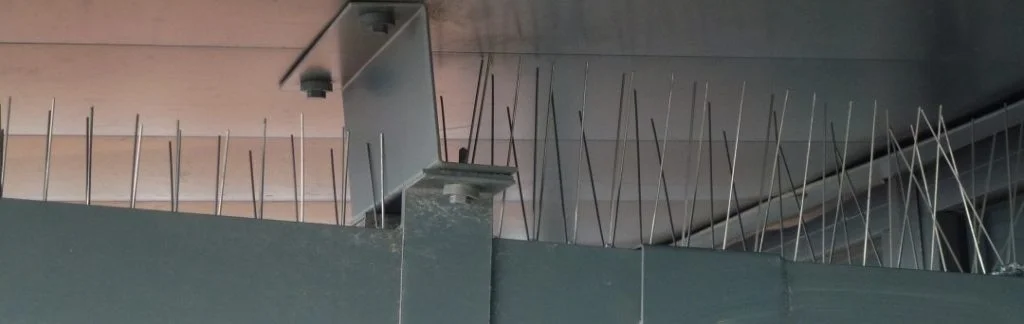 Bird Spike Installation | Simple, Maintenance-Free Systems