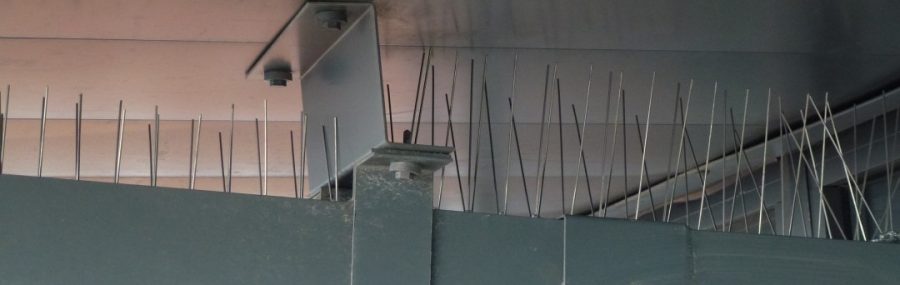 Bird Spike Installation | Simple, Maintenance-Free Systems