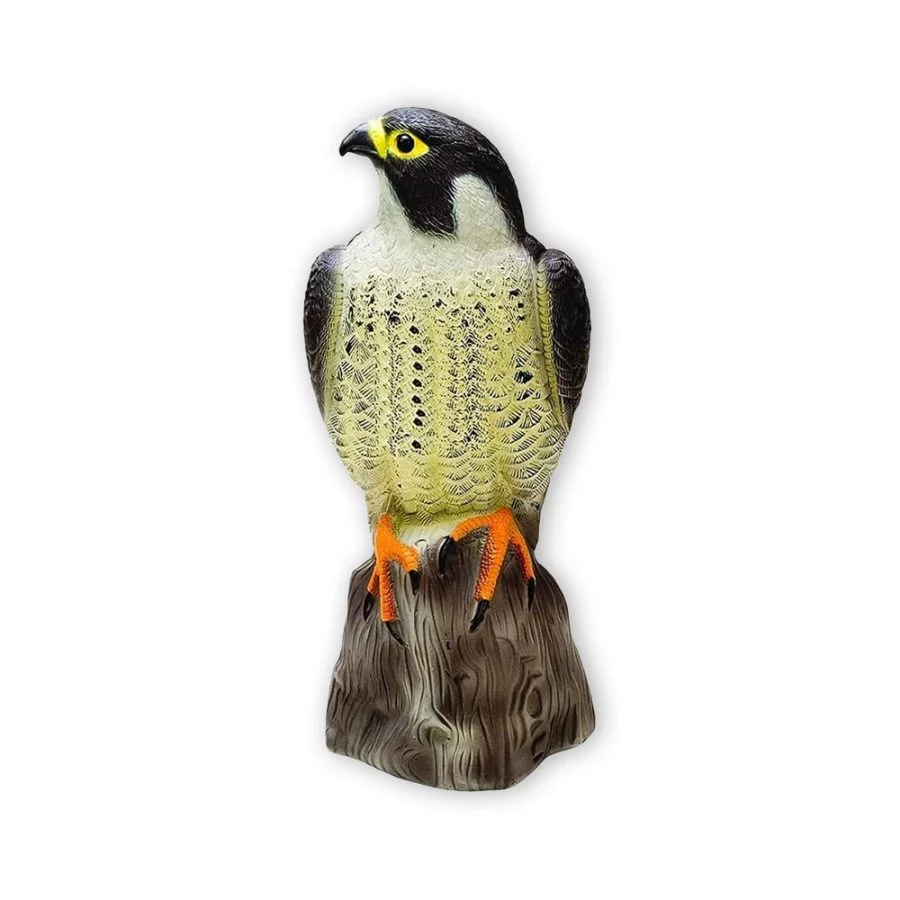Peregrine Falcon Decoy - EnviroGuard