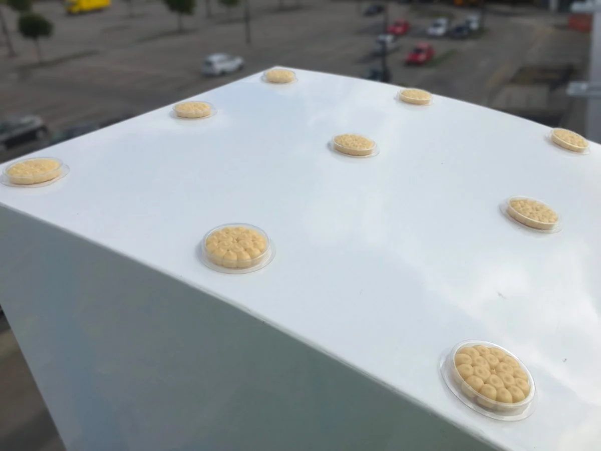 Services Archive - EnviroGuard