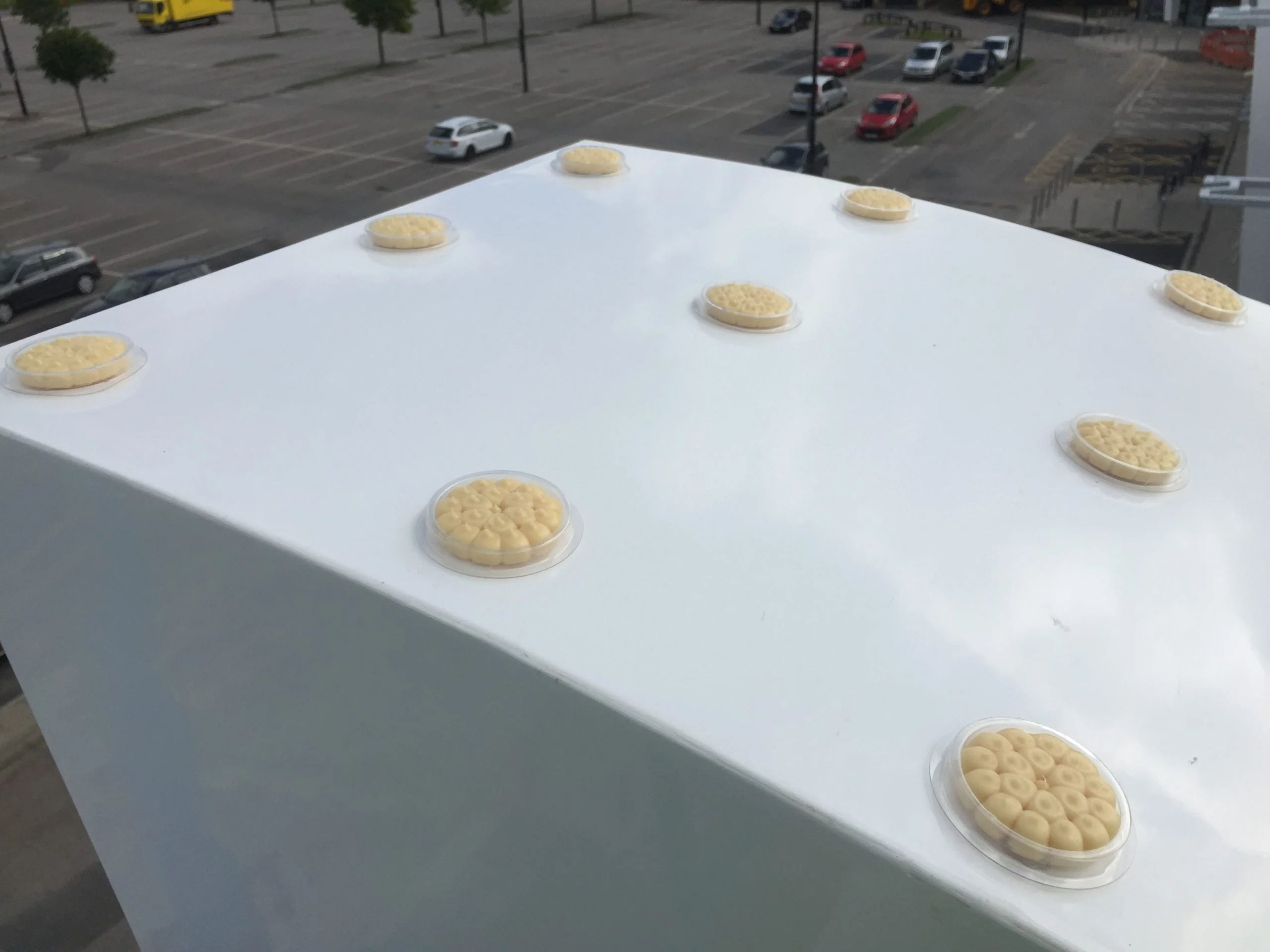 Bird Free Fire Gel – Stop Bird Infestations with Proven Protection