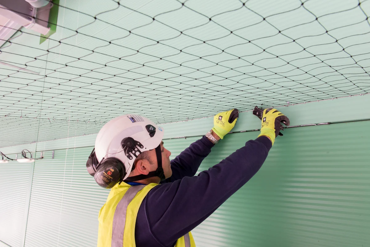 Anti-Bird Netting Installation Services | Professional Technicians