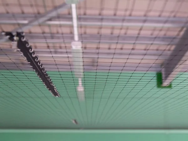 Anti-Bird Posts & Wires | Discreet Preventative Solutions