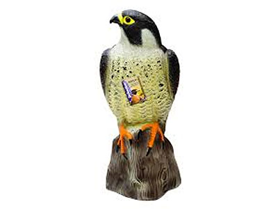 Peregrine Falcon Decoy - EnviroGuard