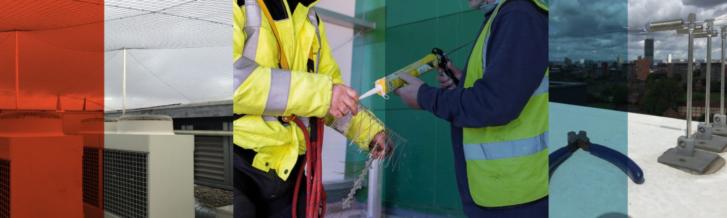 EnviroGuard Frequently Asked Questions | Professional Advice