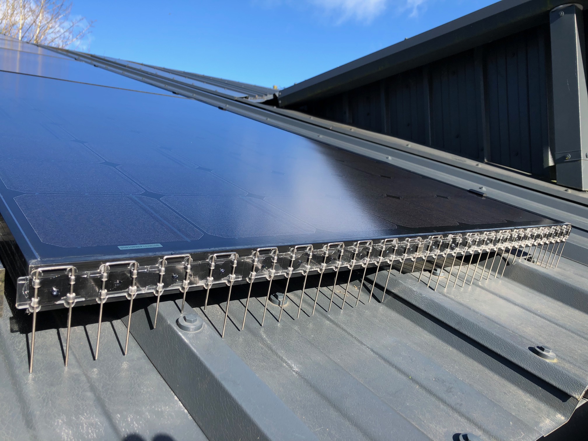 210mm Solar Guard Adjustable Spike Per Metre - EnviroGuard